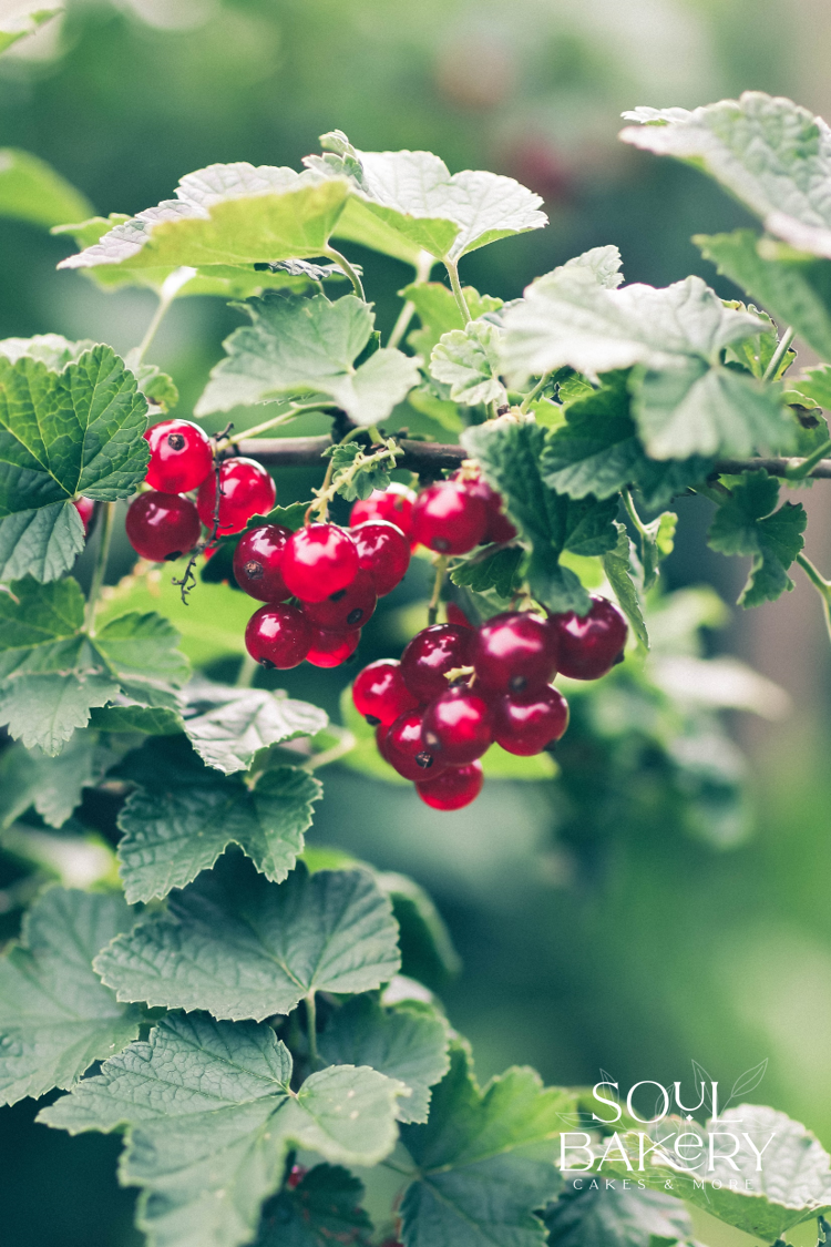 Summer Cookies mit Schokotröpfchen und Johannisbeeren | Soul Bakery